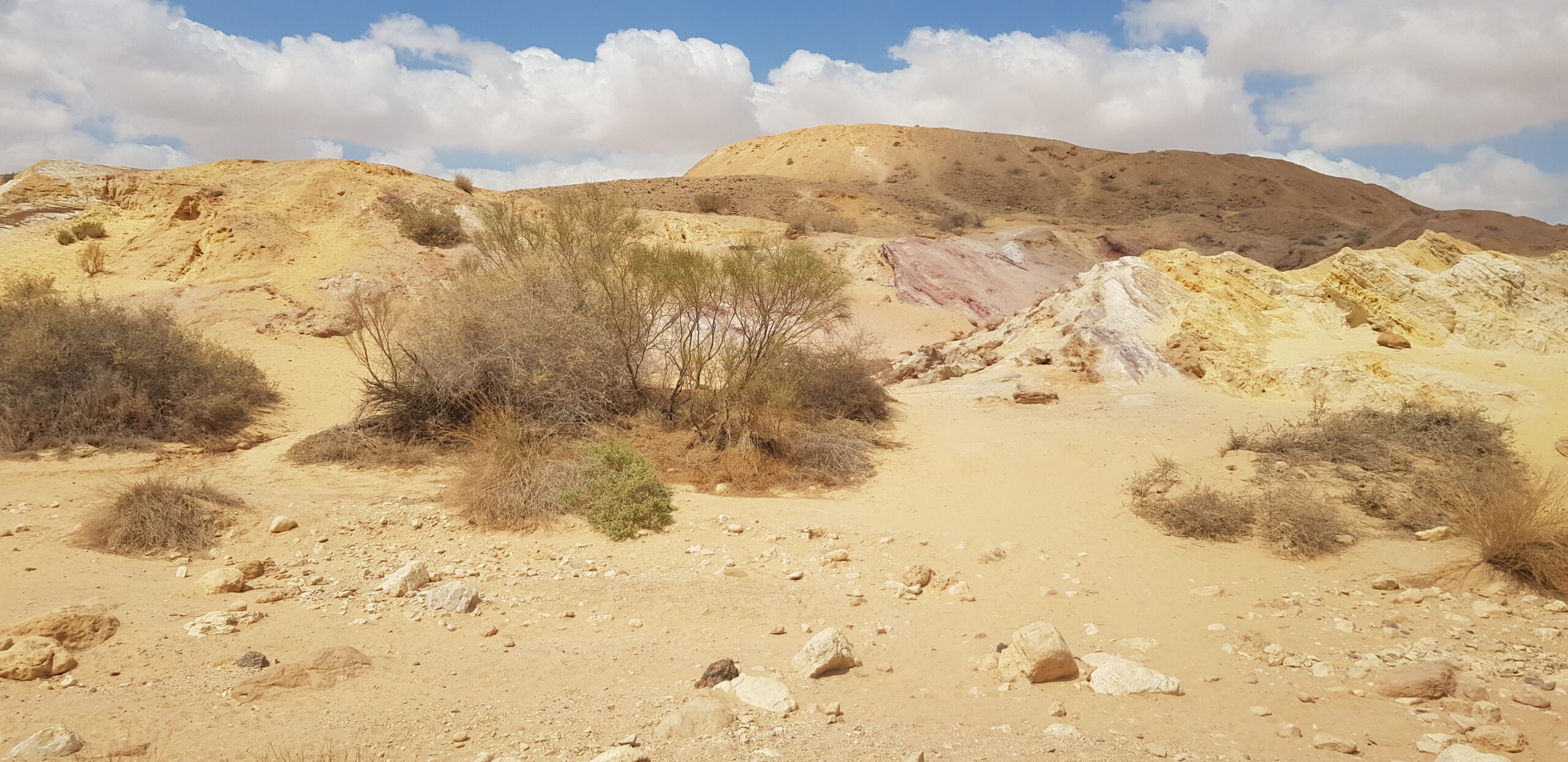 Férias em Israel - Passeios de Jipe e Aventuras Esperam por Você!
